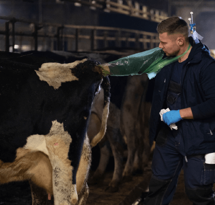Farm Services - Education Moore Exotics