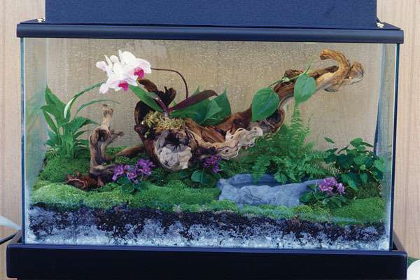 Reptile Services - Education Moore Exotics
